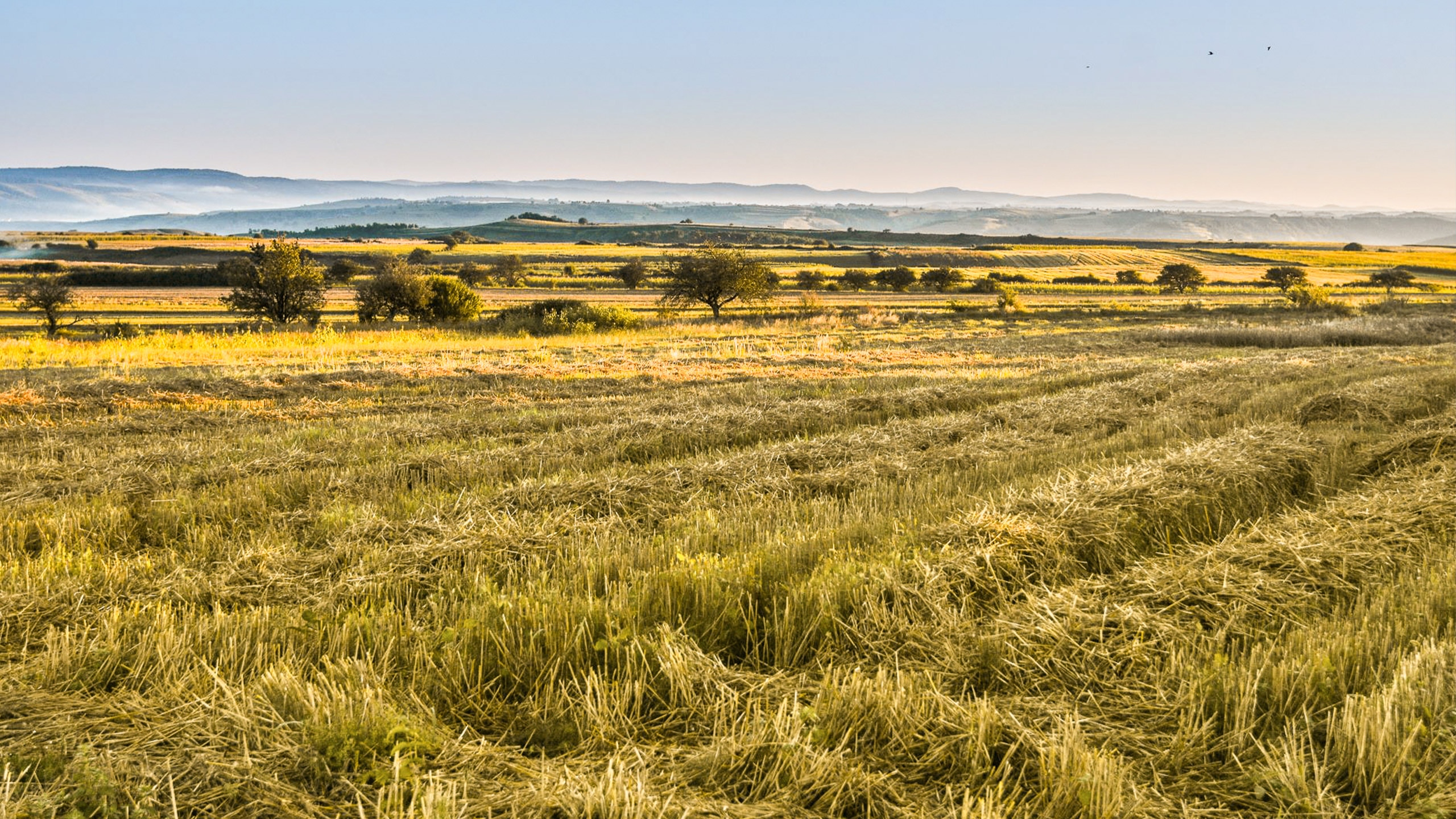 Danube Delta: Offroad Tour | BMW Motorrad
