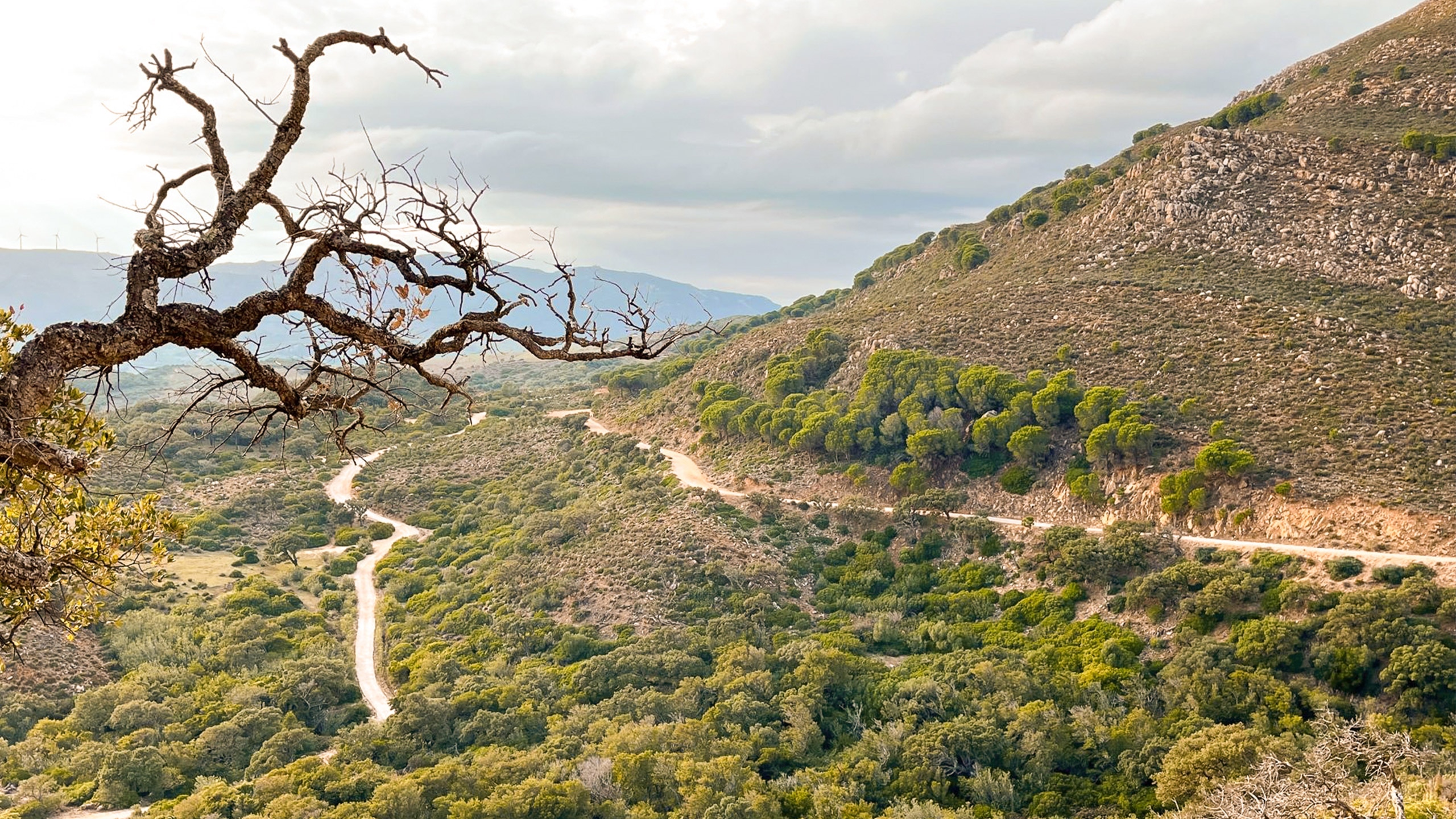 Lilla's Offroad Adventure in Andalusia | BMW Motorrad